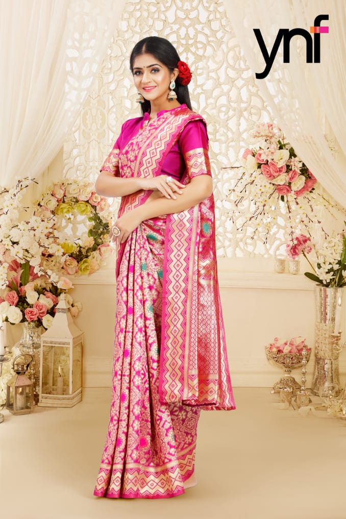 Saree Worn Low